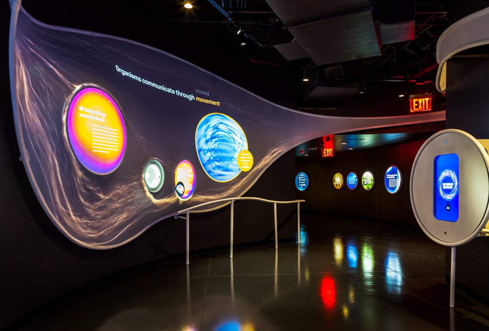 Winding 250 Foot Ribbon Prepares Visitors for 'Invisible Worlds' Immersive Experience